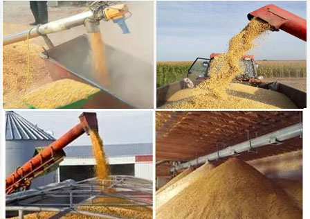 What is a Grain Screw Conveyor?-Dahan Machinery